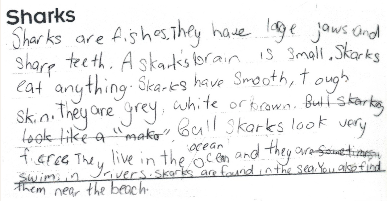 Understanding Dyslexia With Written Work Examples KiasuParents