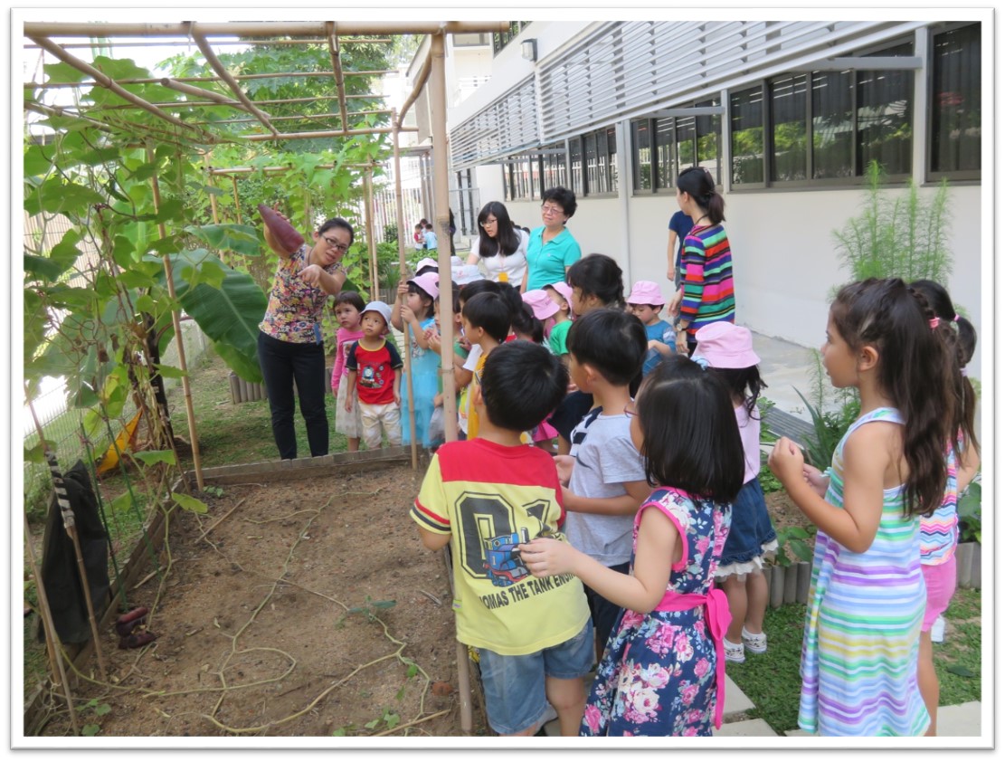 Immerse in Chinese (Preschool, Enrichment Class, Afterschool Care ...