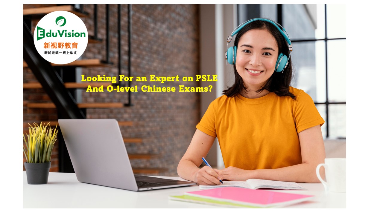 Develop a Strong Foundation for PSLE and O Level Chinese